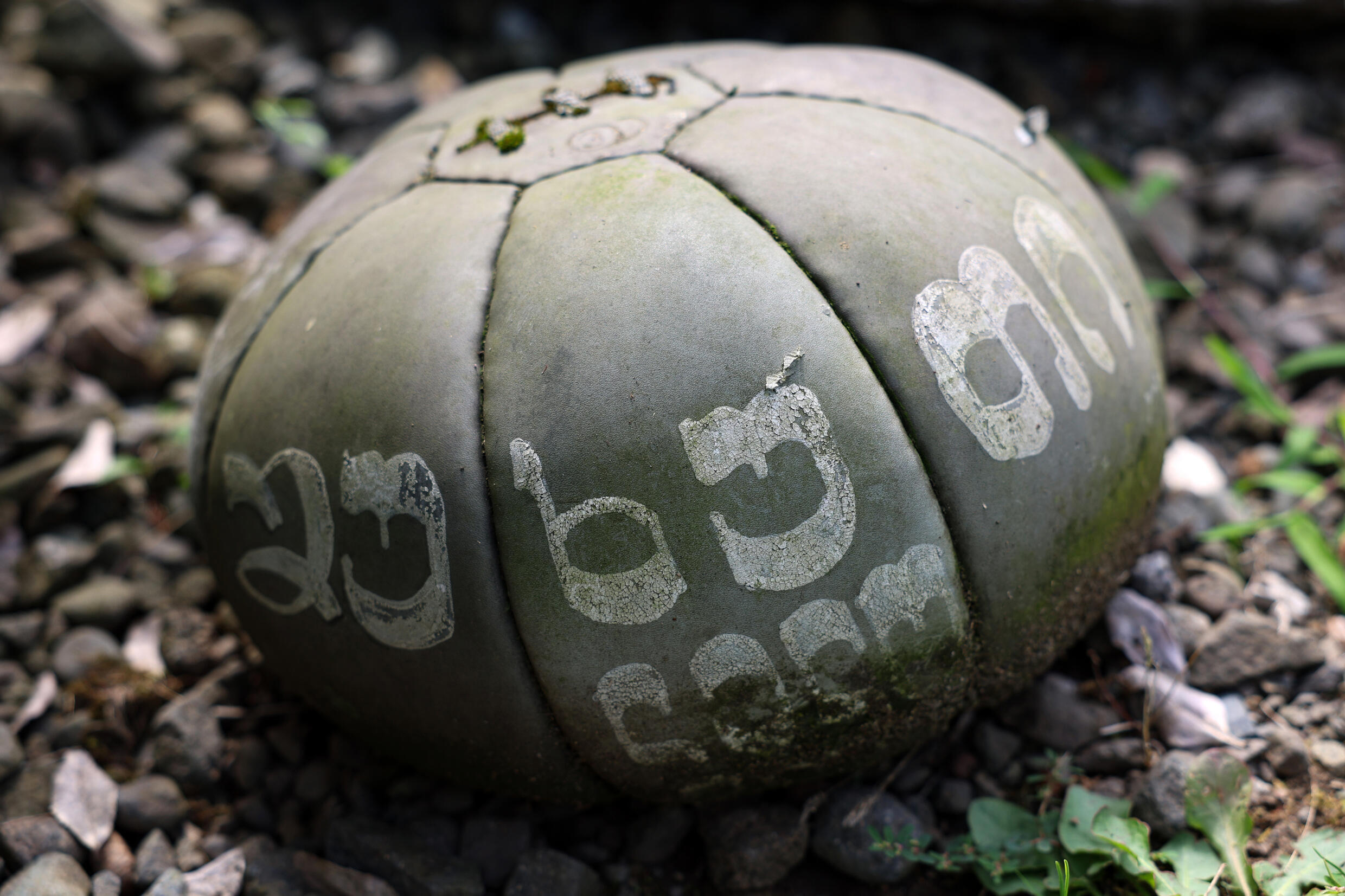 Ancient game feeds Georgia's rugby DNA