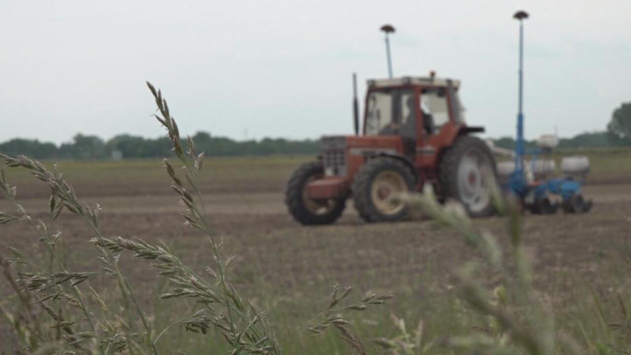 France in bid to relocate soybean crops to fight deforestation - Focus