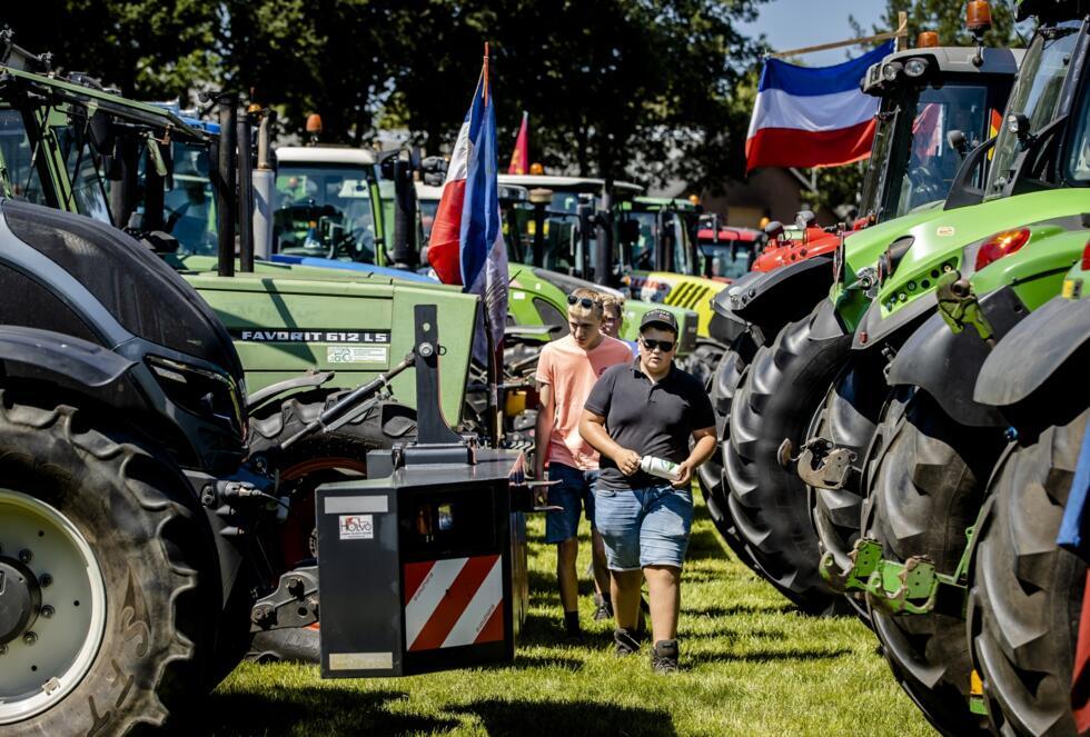 Dutch farmers protest livestock cuts to curb nitrogen