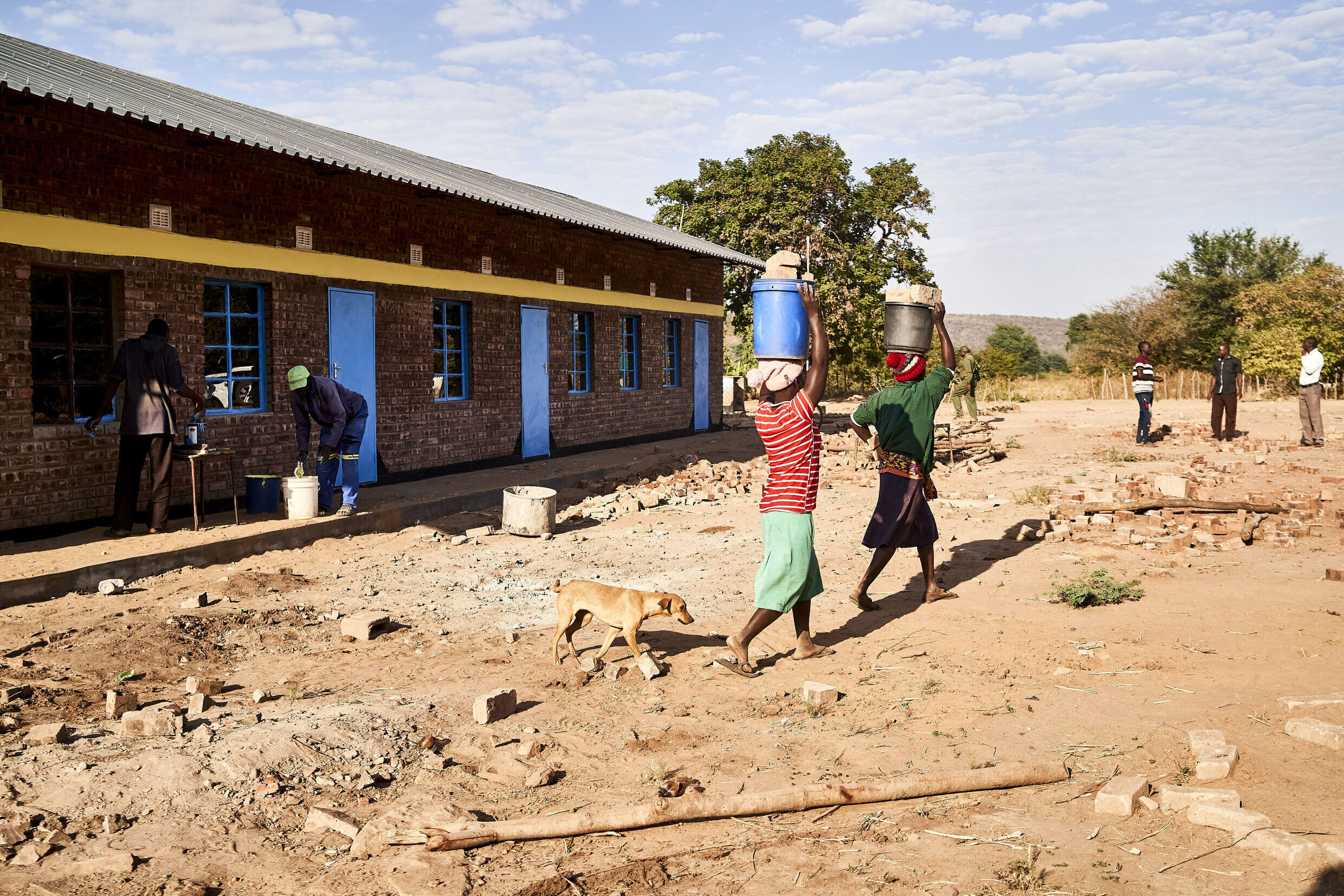 Zimbabwe's carbon credit takeover spooks locals, investors