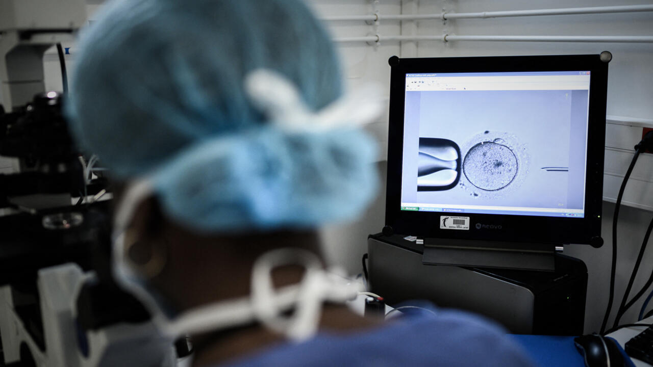 Bebés con ADN de tres progenitores, la vanguardia de la reproducción ...