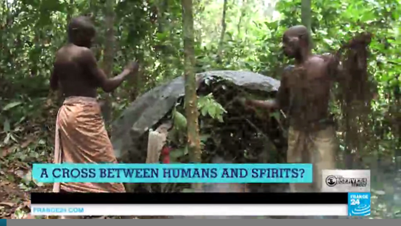 Baaka, the fallen kings of the forest - The Observers Direct