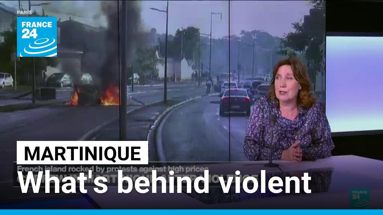 What's behind violent protests in France's Martinique? - France 24