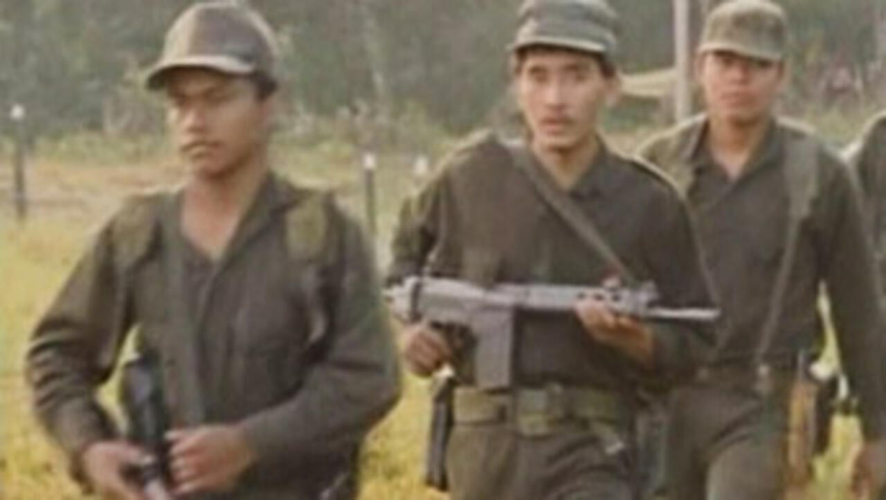 Pop star Shakira to lead protests against FARC