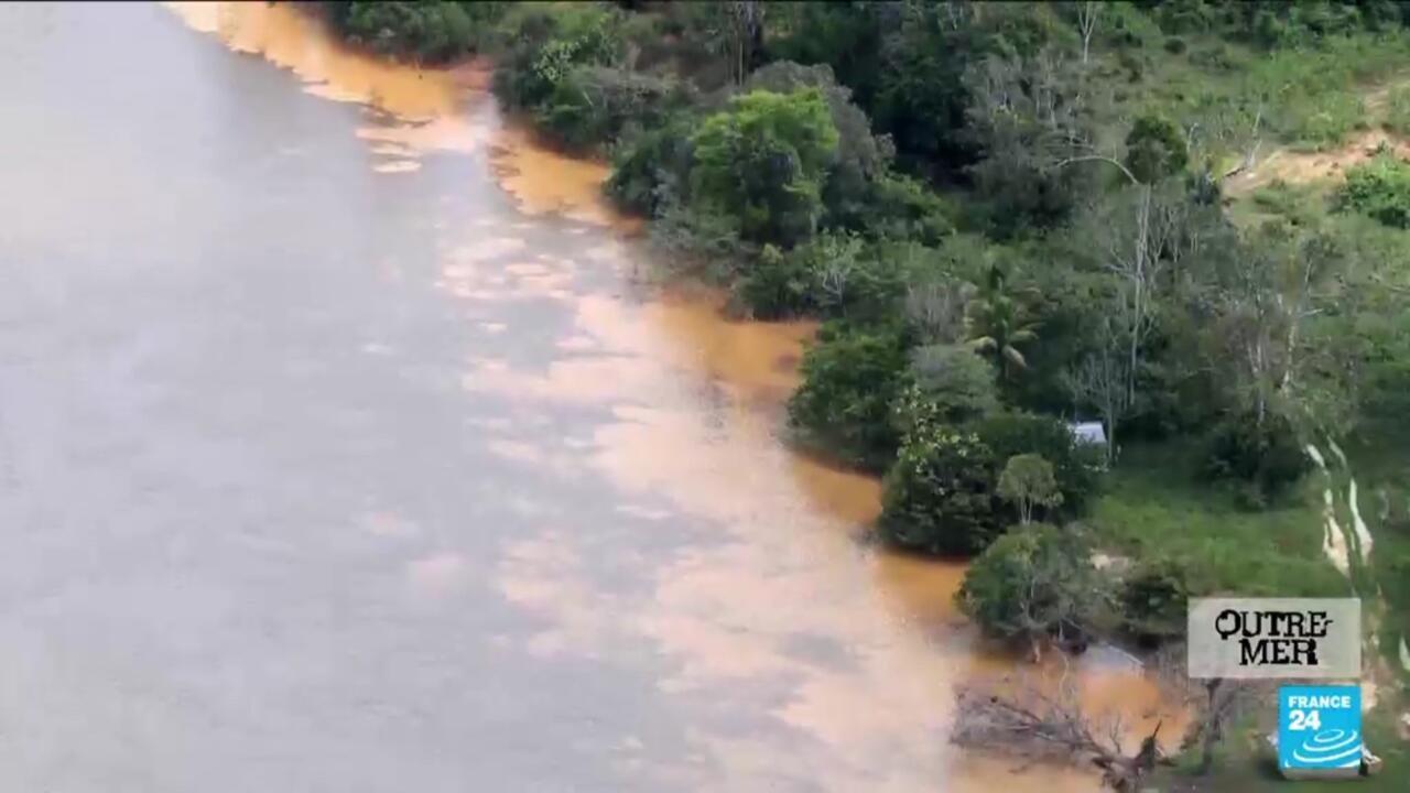 Guyane : la biodiversité du fleuve Maroni mise en danger par l ...