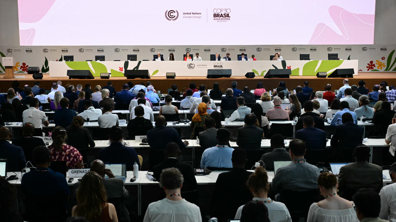 COP30: Key reactions to climate deal