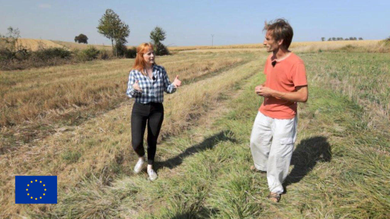 It's not easy being green: Making European farming more sustainable ...