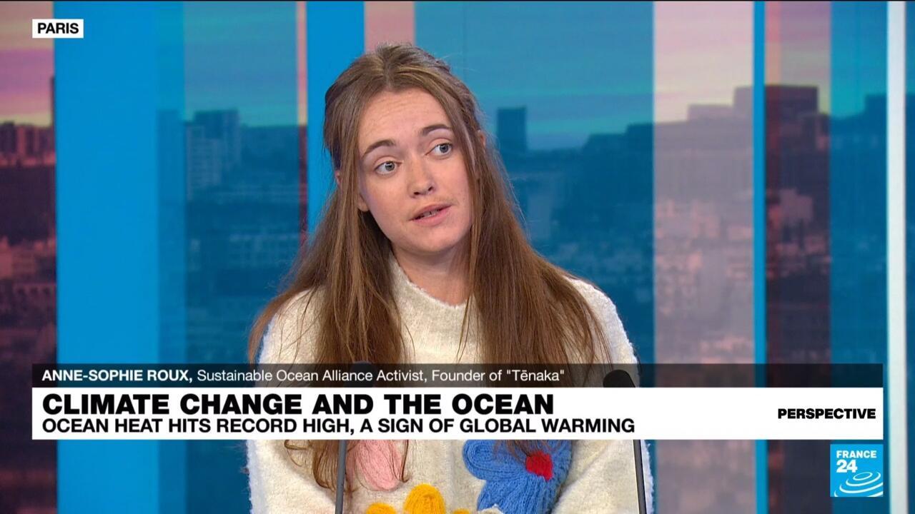 Oceans: Both a victim and a possible solution to climate change ...