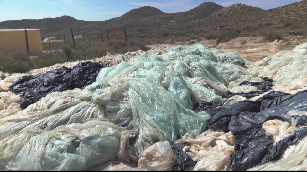 Spain: Andalusia's farms feed Europe, but are drowning in plastic waste ...