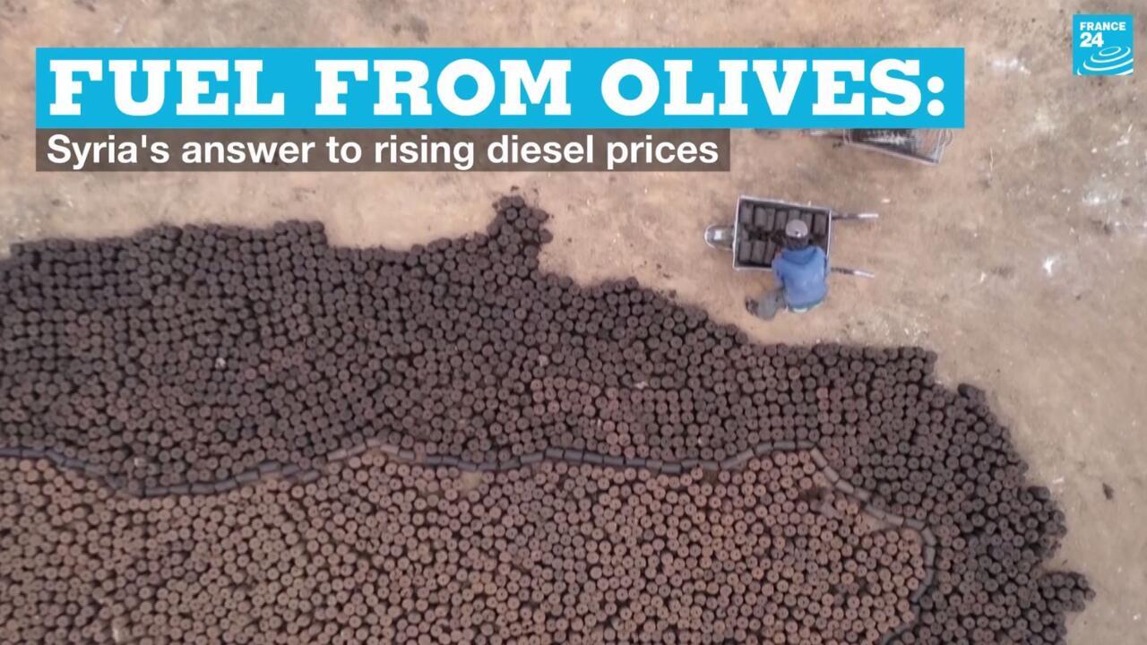 Fuel from olives: Syria’s answer to rising diesel prices - France 24