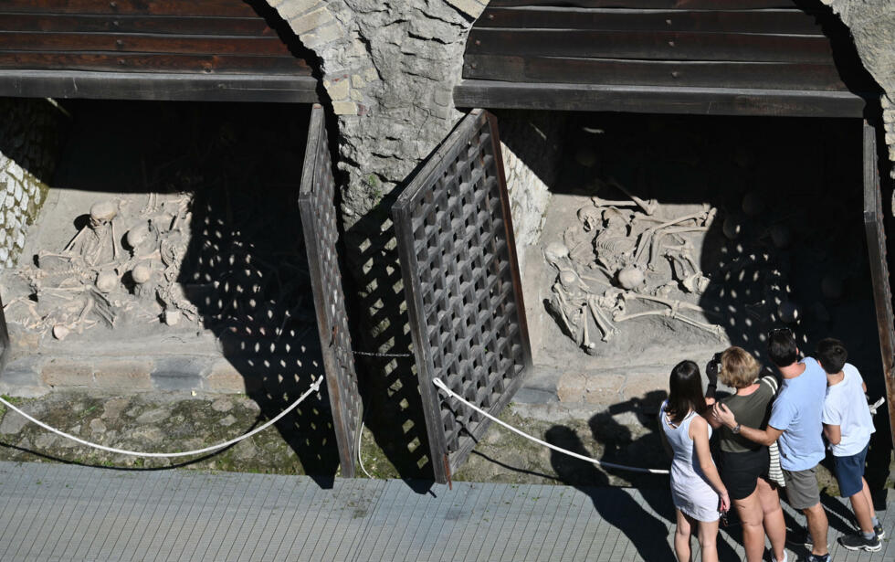 Shellfish! How men hogged seafood in ancient Roman city hit by Vesuvius ...