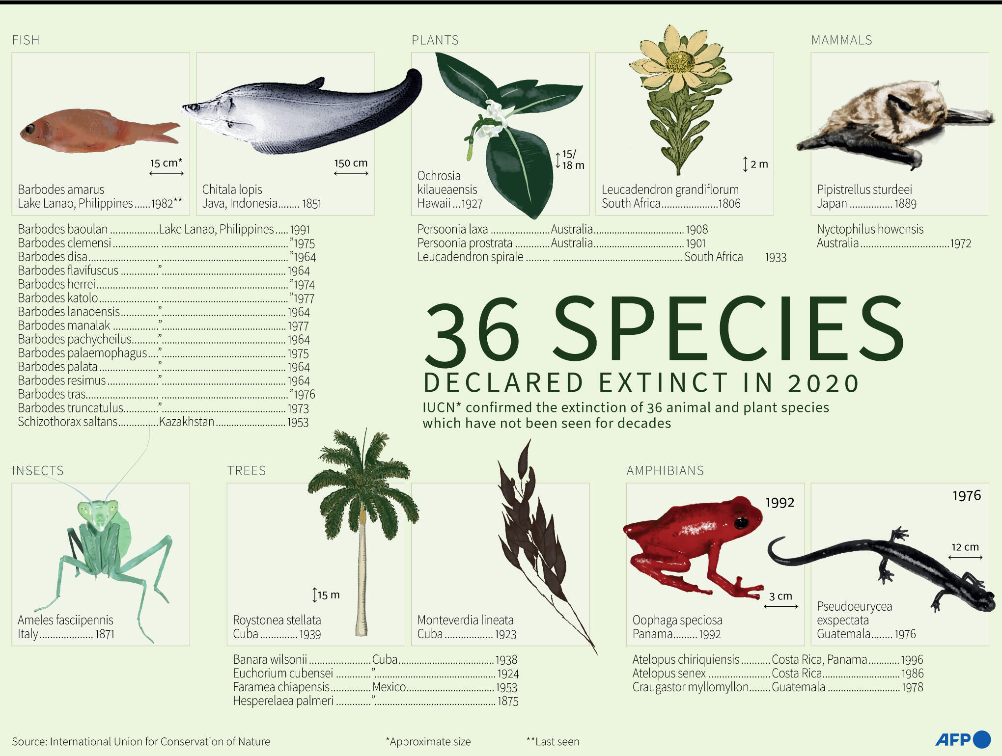 Extinction threat: world conservation meeting to show species in peril ...