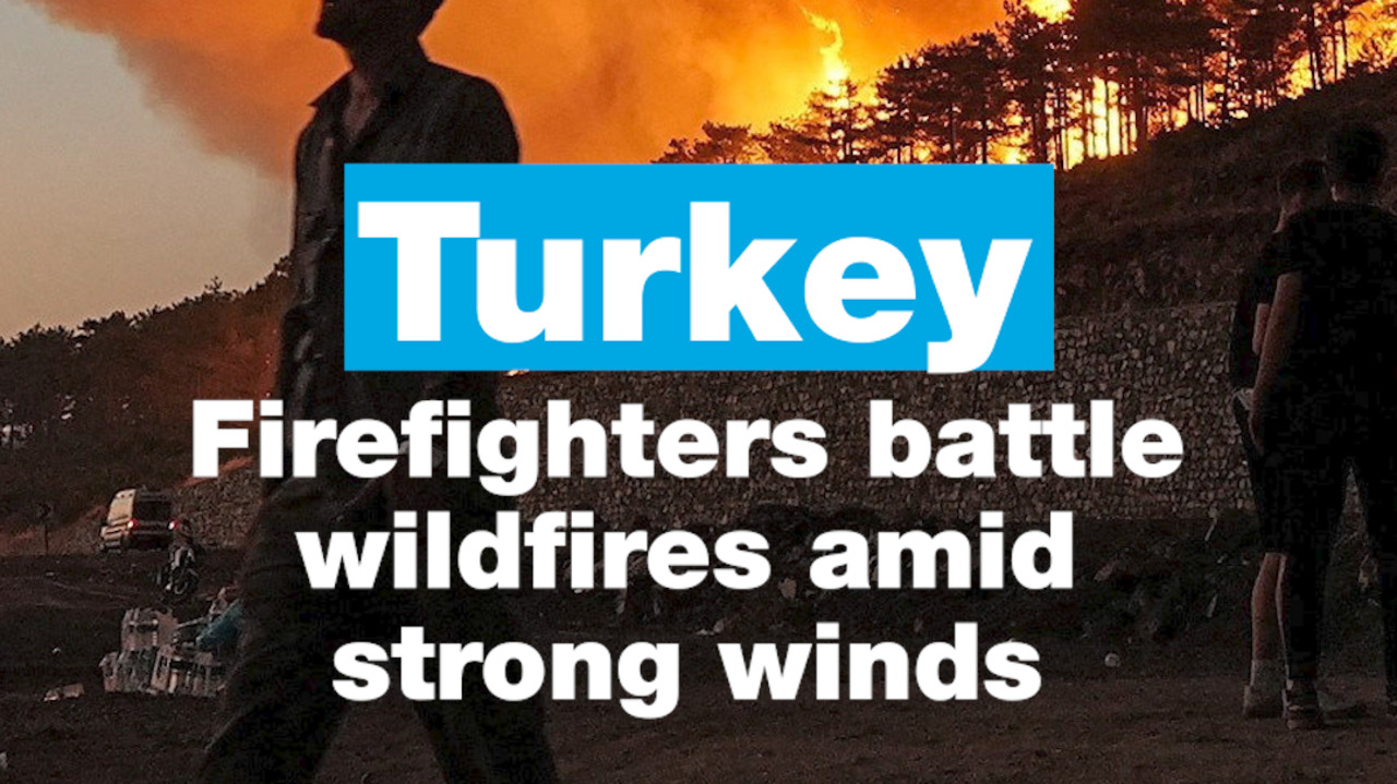 Turkey: Firefighters battle wildfires amid strong winds - France 24