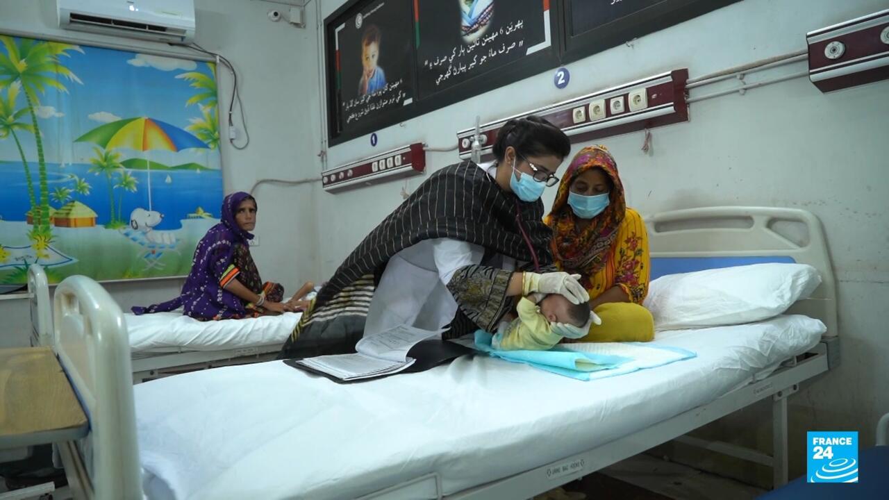 Malnutrition in Pakistan: Over 40% of children under five suffer from ...
