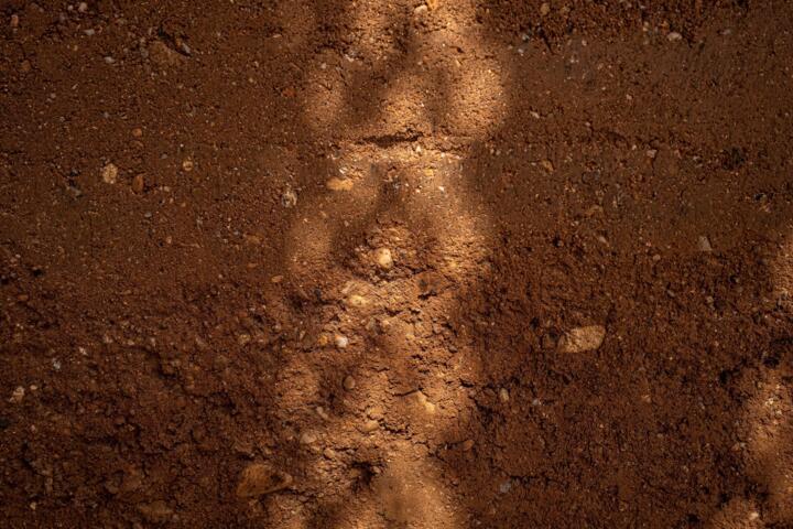 Ditching concrete for earth to build a cleaner future