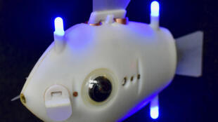 Mini robot fish swim in schools, just like the real thing - France 24