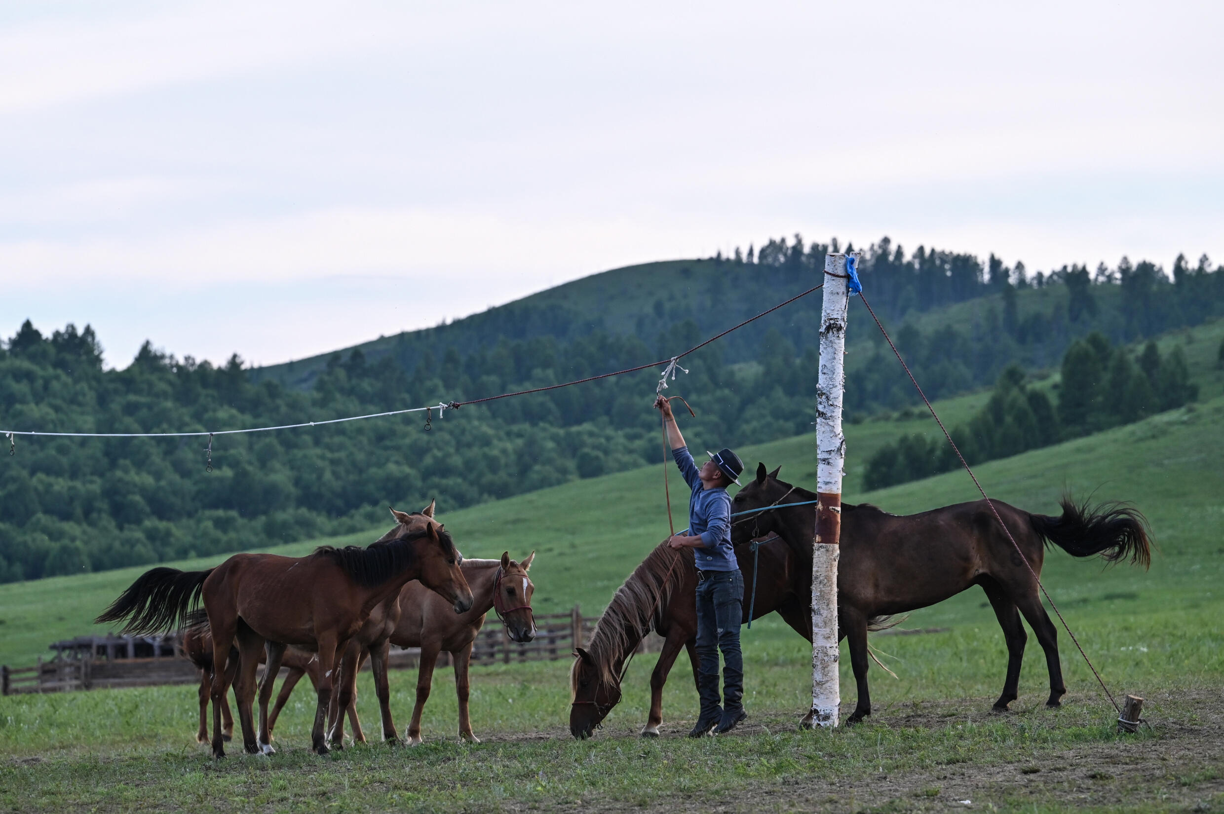 Nomadic roots, urban lives: the young Mongolians leading a transition