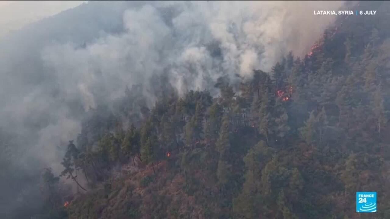 Syria fights fires for fourth day as Jordan sends help - France 24