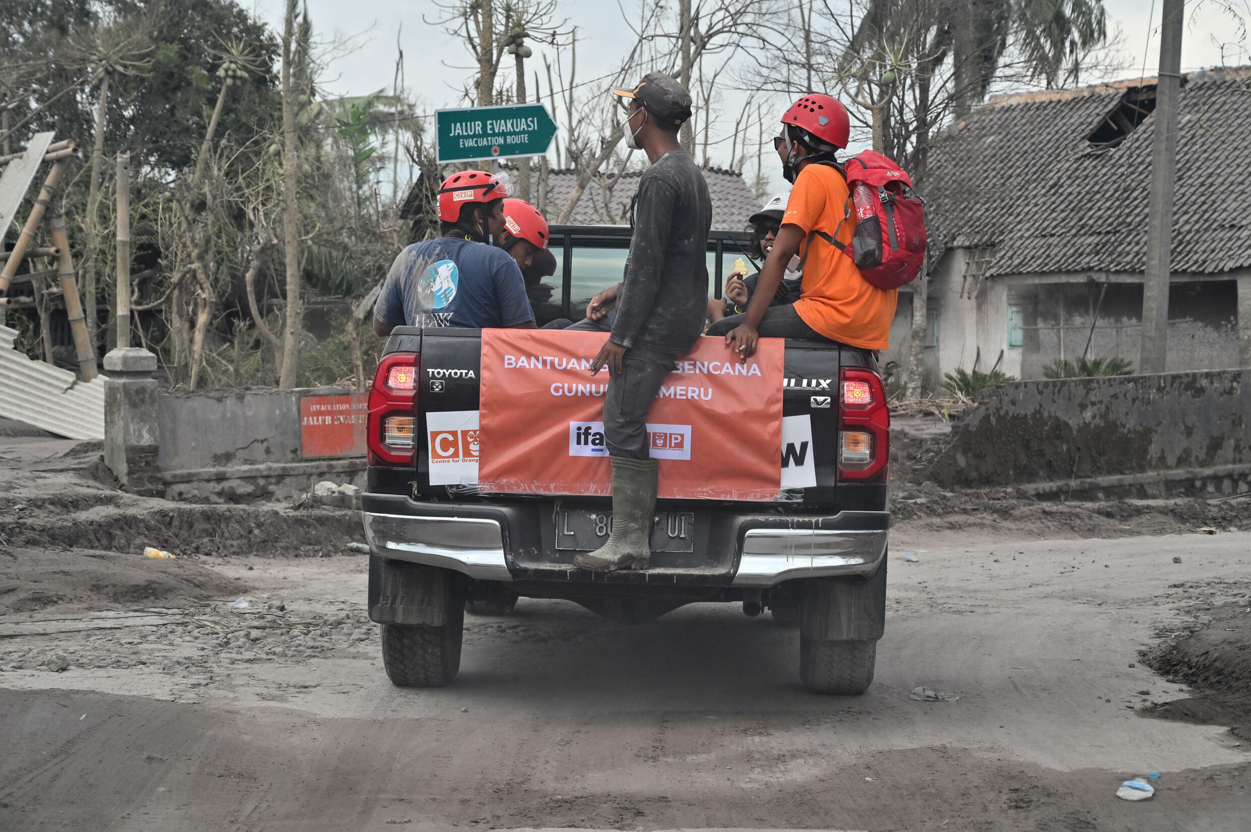 'Forgotten' animals rescued after Indonesia volcano eruption