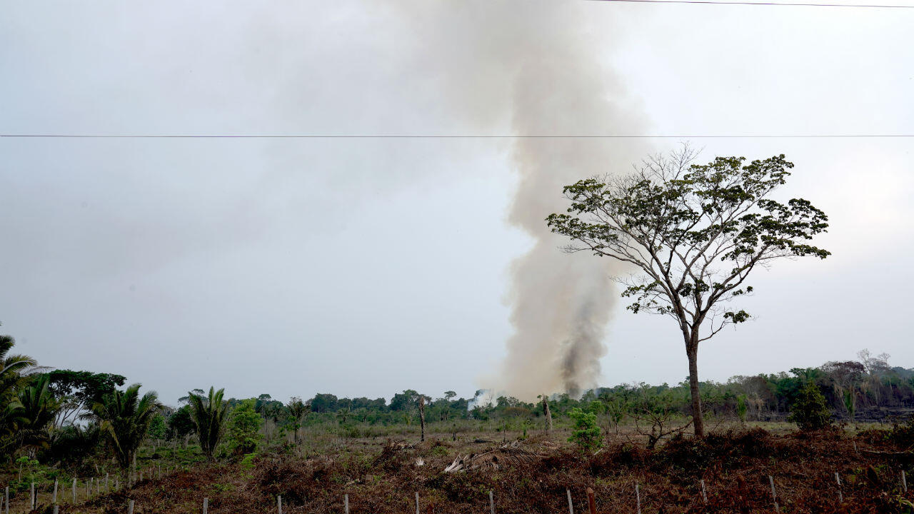 Brasil: viaje a la última frontera de la deforestación