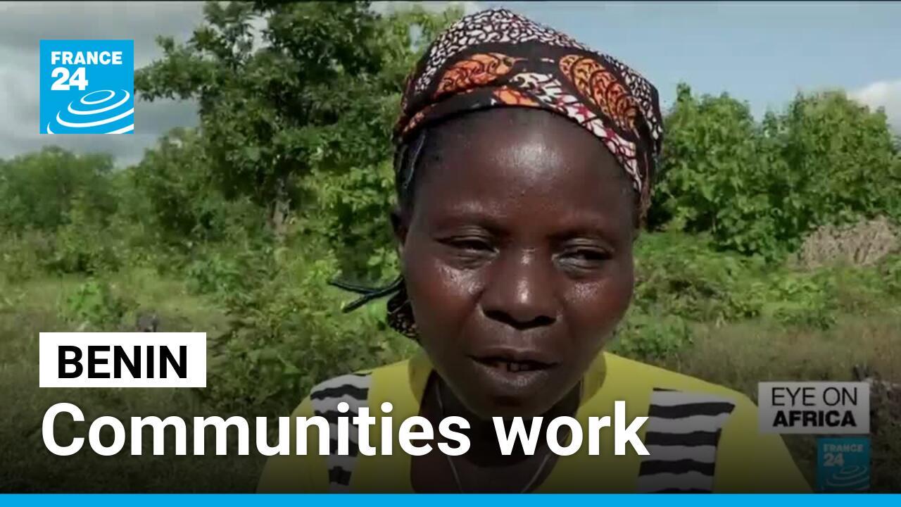 World environment day: Benin's local communities work to restore ...