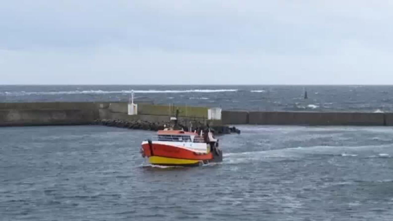 Brexit golpea a la pesca francesa entre menos licencias y mayor ...