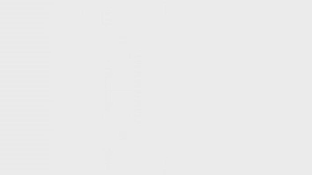 GRAB MARCEL AMOKO GABON - France 24