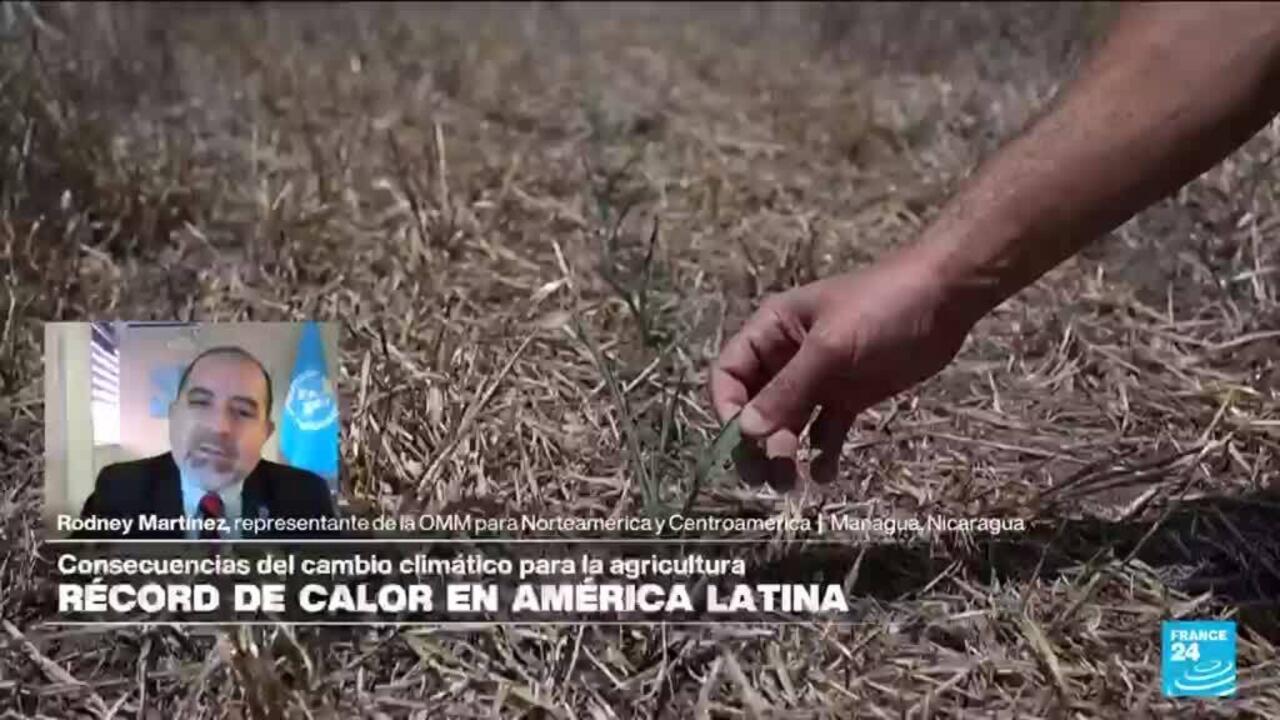Rodney Martínez: 'Crisis climática en Latinoamérica afecta los sistemas ...