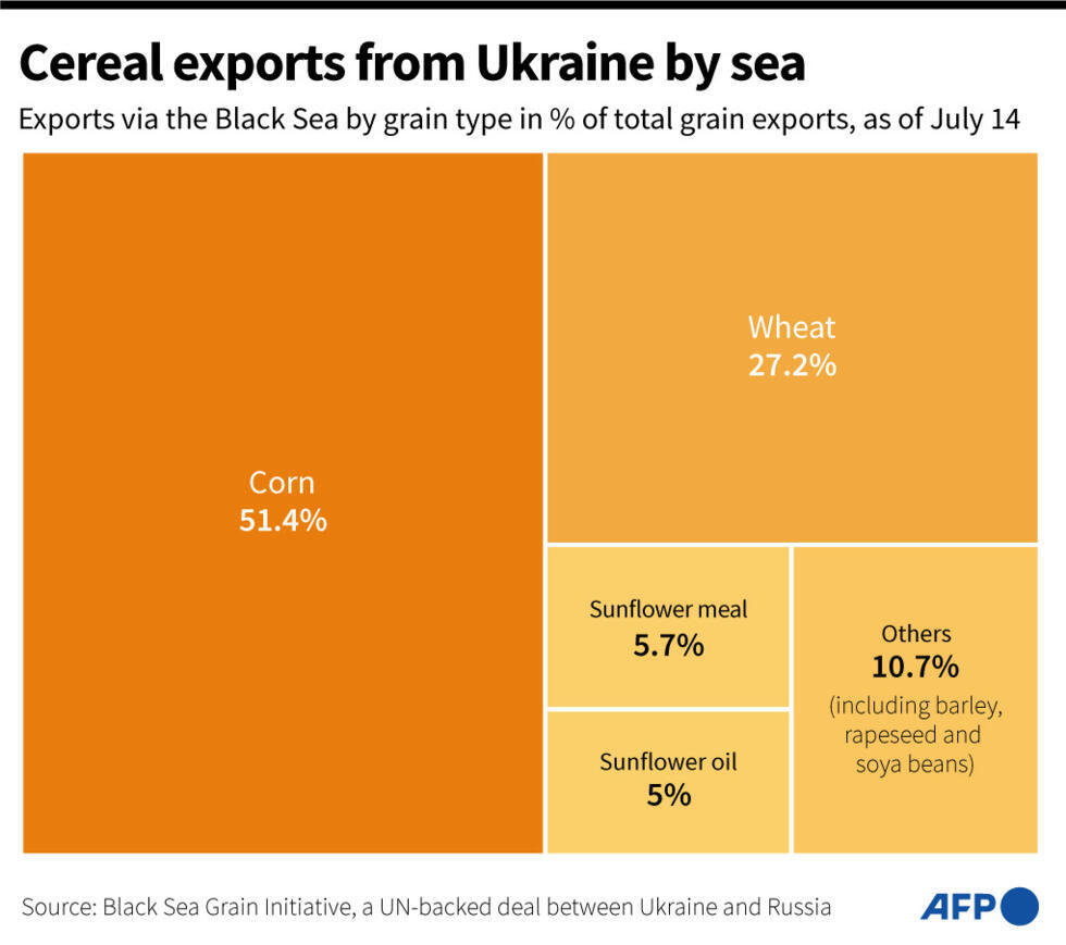 Erdogan confident of extension to Ukraine grain deal