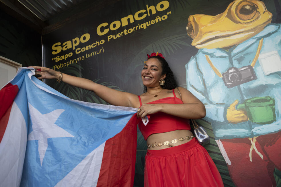 L'instant + : Bad Bunny en concert à Porto Rico pour rendre hommage à ...