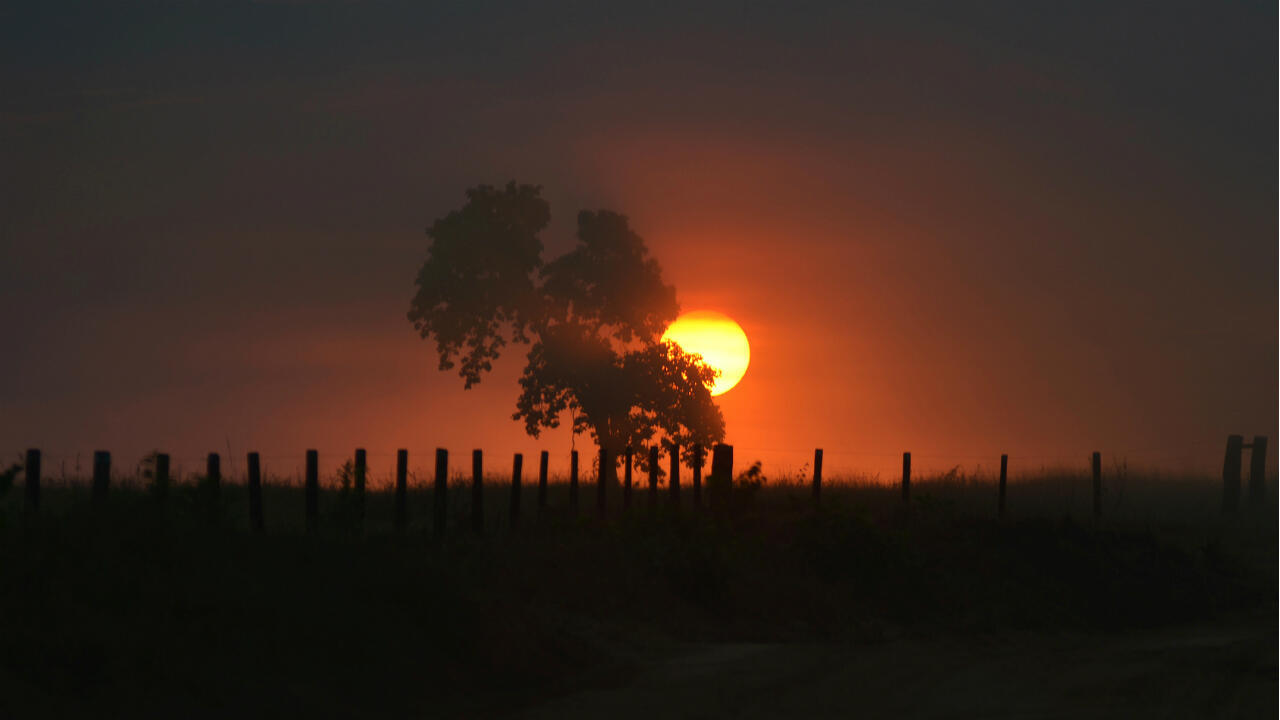 African forest fires in the spotlight amid outcry over Amazon blazes