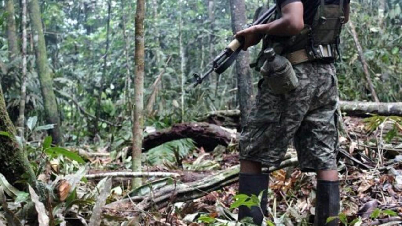 Peru frees children held by Shining Path rebels