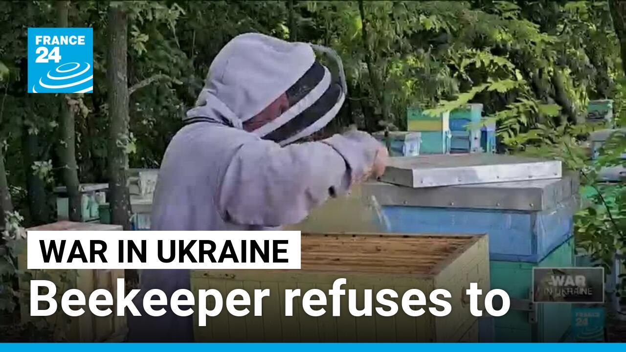 Ukrainian beekeeper refuses to abandon hives as Russian troops advance ...