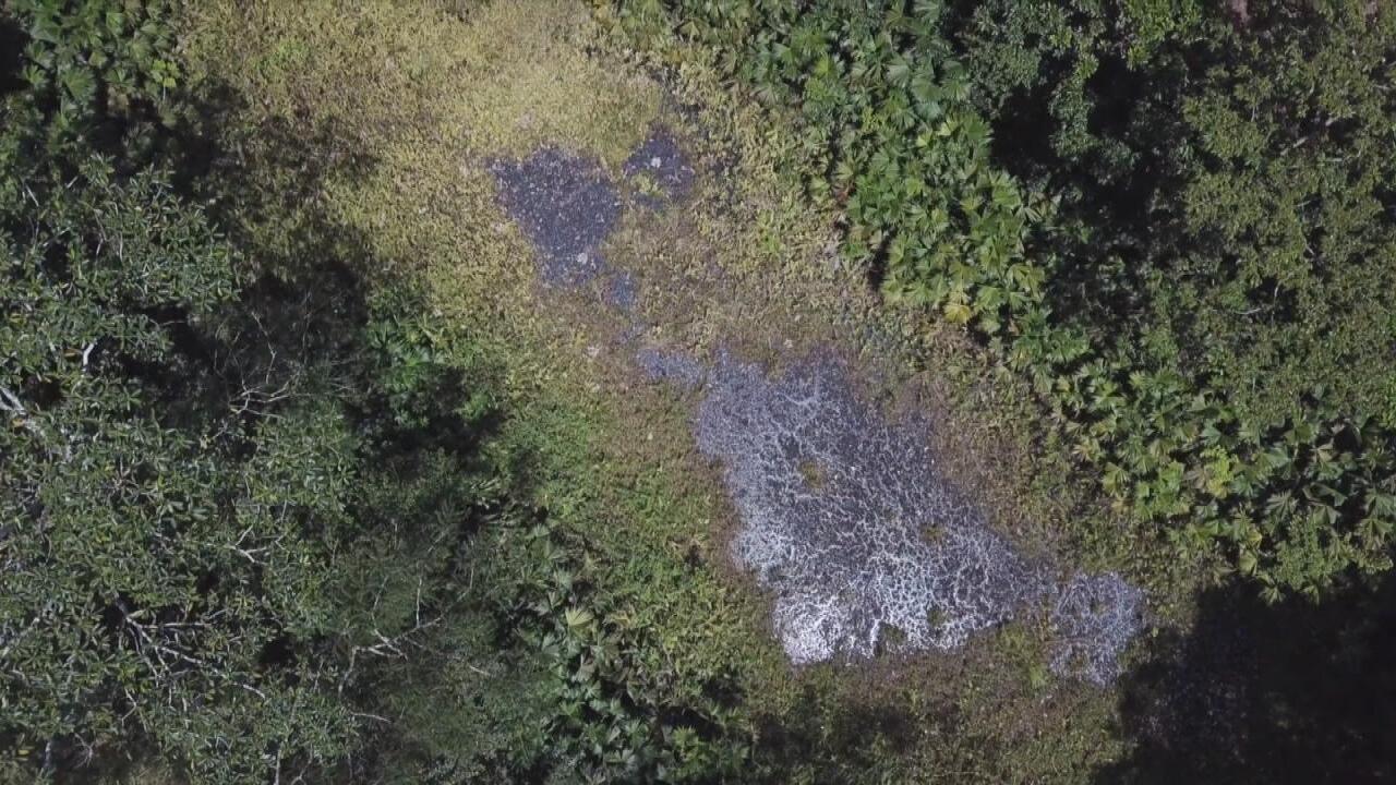 El 'Toxic Tour' en Ecuador busca concientizar sobre los daños de la ...