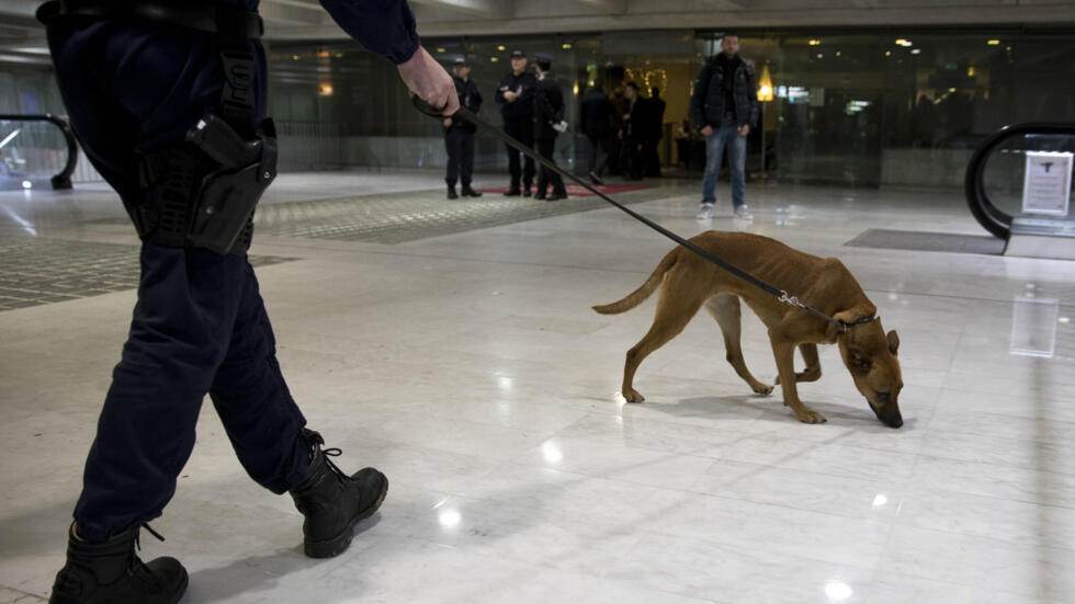 Medal for police dog Diesel killed in hunt for Paris terrorists