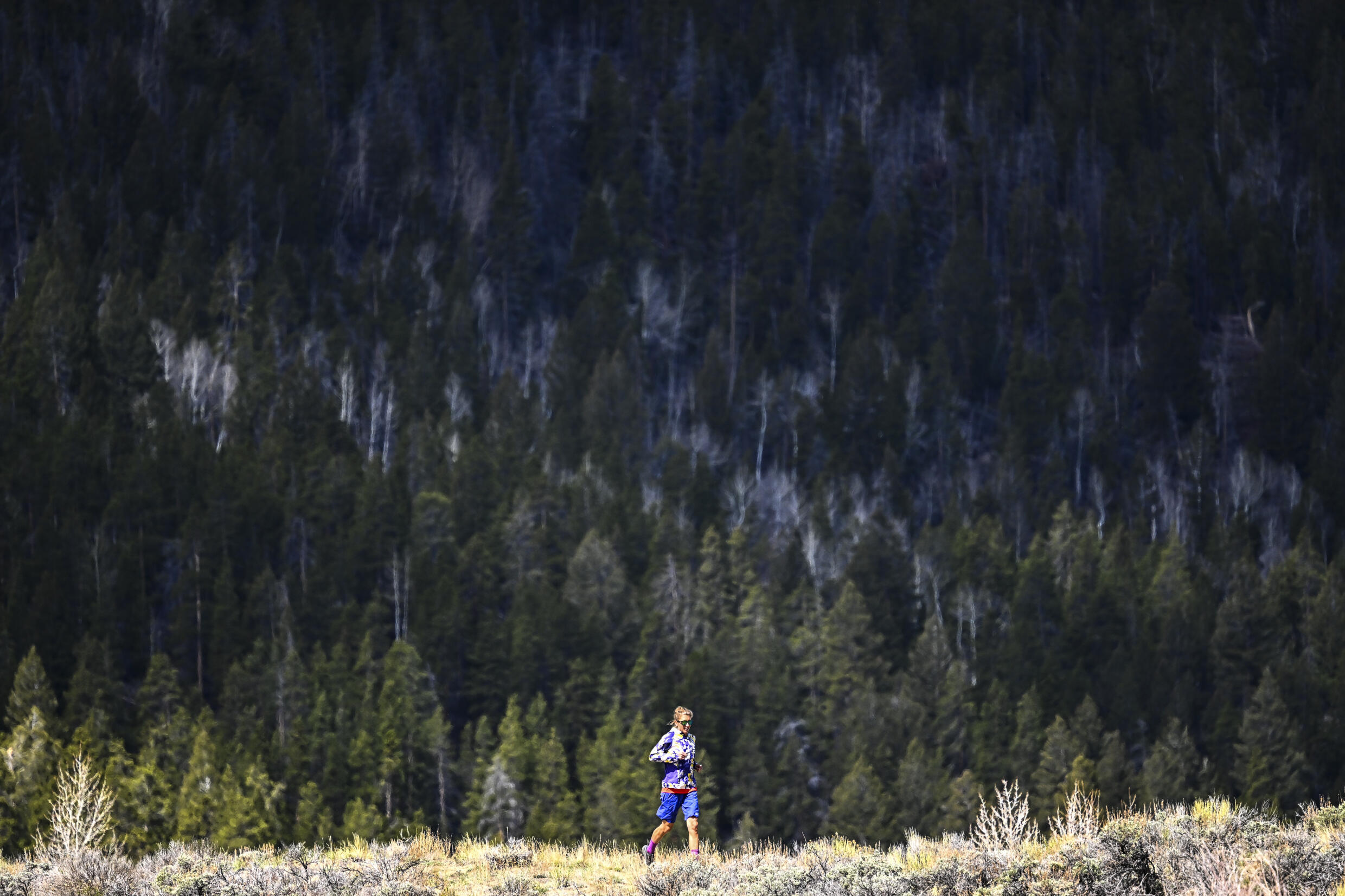 Courtney Dauwalter: No loneliness for the long-distance runner