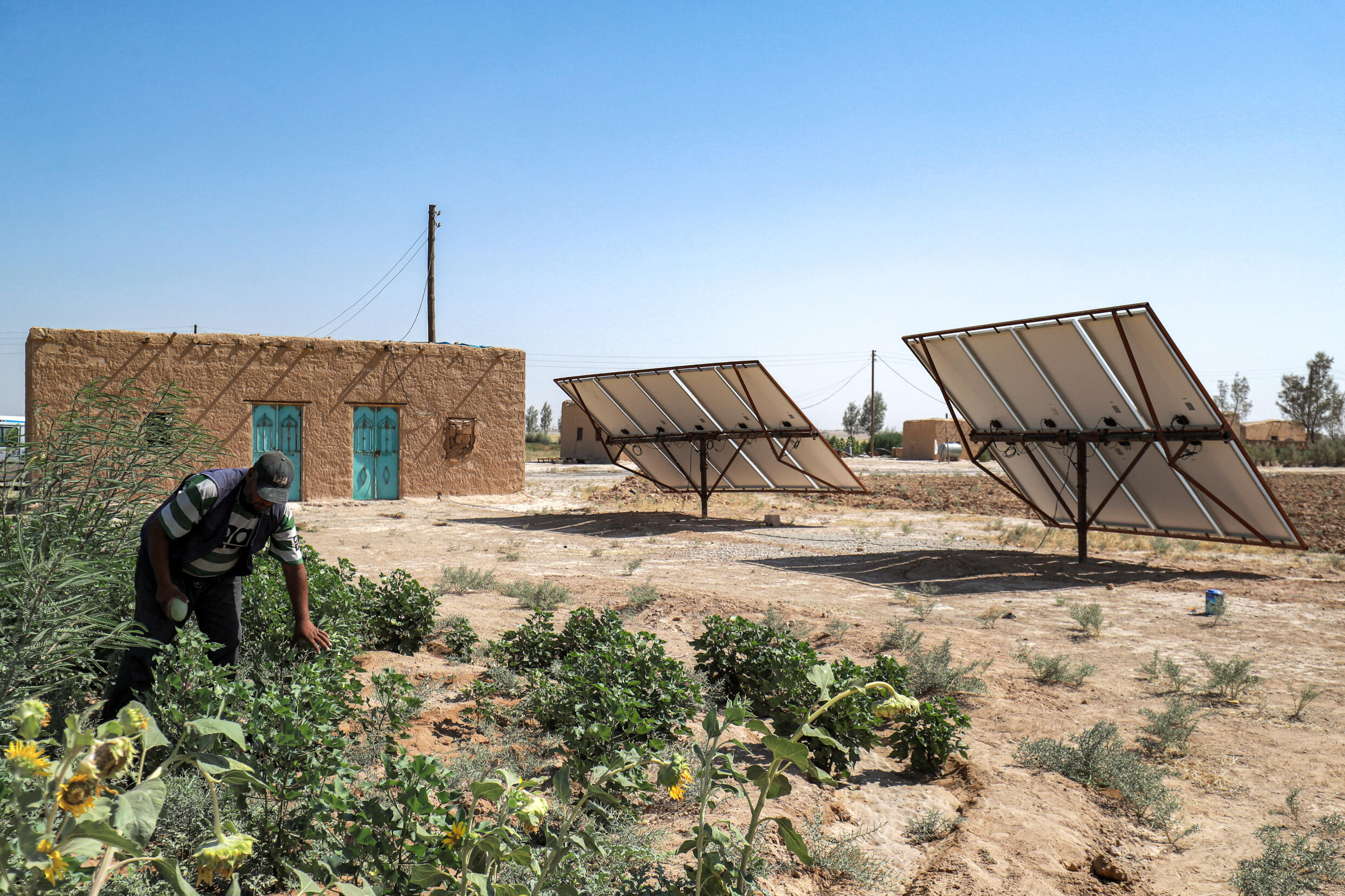 Farmers turn to solar power in Syria's former breadbasket