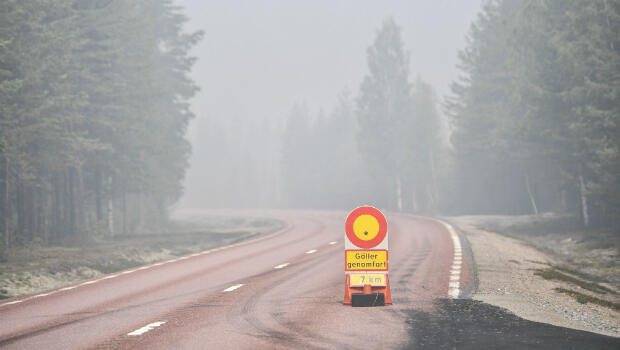 In Nordic heatwave, Sweden struggles to contain wildfires, seeks EU help