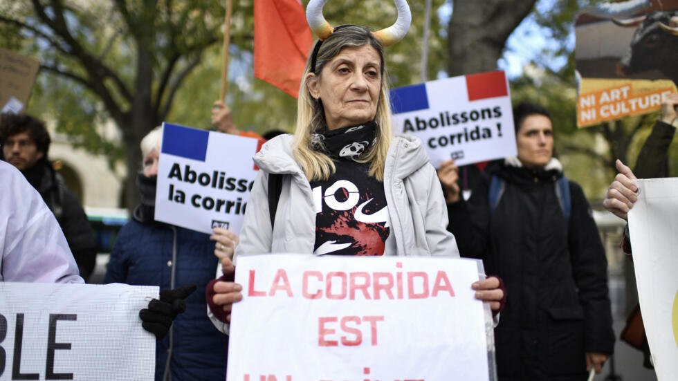 French parliament to debate divisive ban on bullfighting