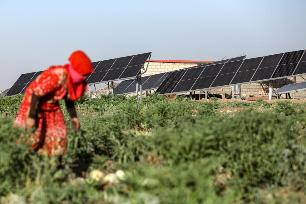 Farmers turn to solar power in Syria's former breadbasket
