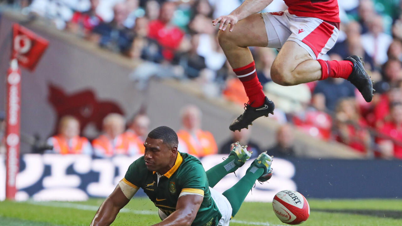 Retour en force du capitaine Siya Kolisi lors de la victoire des ...