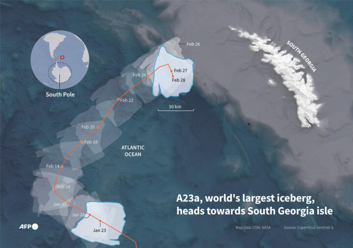 World's biggest iceberg runs aground, sparing crucial wildlife haven ...