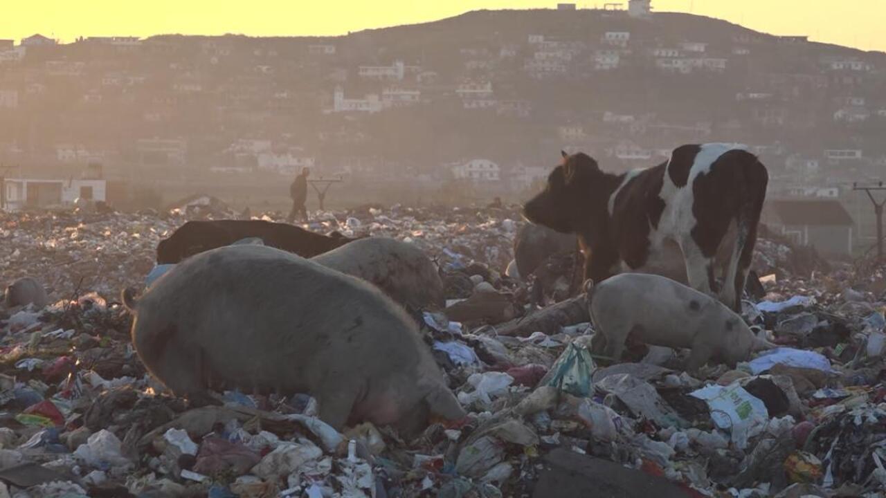 In Albania, controversy over recycling foreign waste that could mean ...