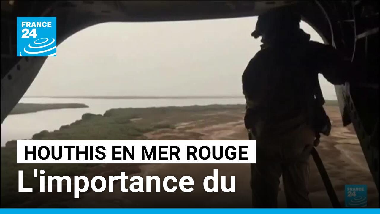 Attaques Houthis en mer Rouge : l'importance stratégique du détroit de ...