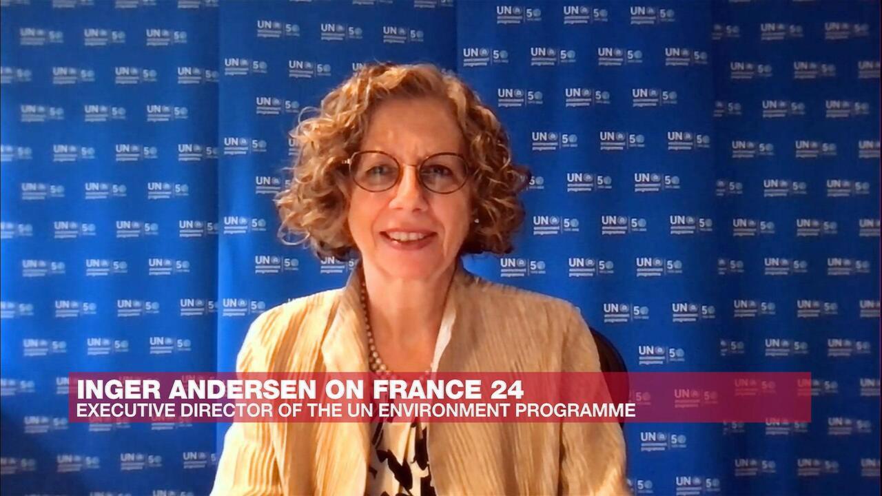 Head of UN Environment Programme: 'We need to fundamentally change our ...