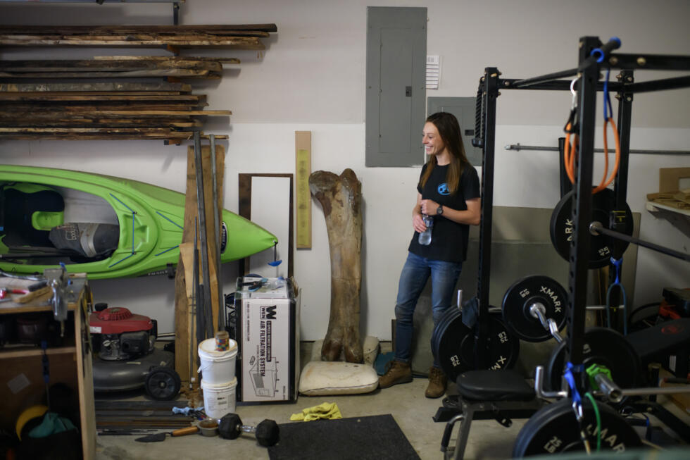 US restorationist solves 60-million-year-old dinosaur fossil 'puzzles'