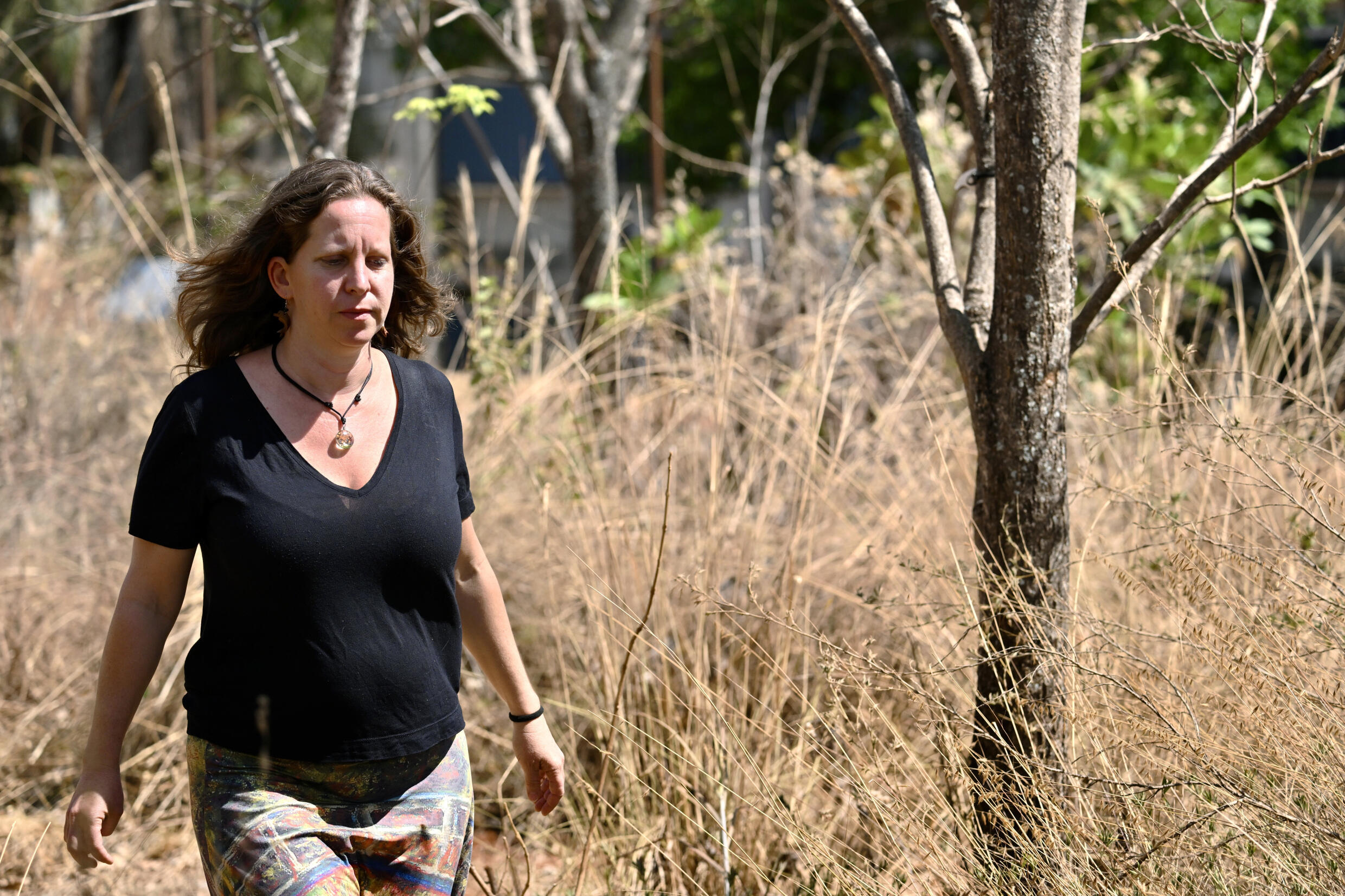Green shoots spring from ashes in Brazil's fire-resistant savanna