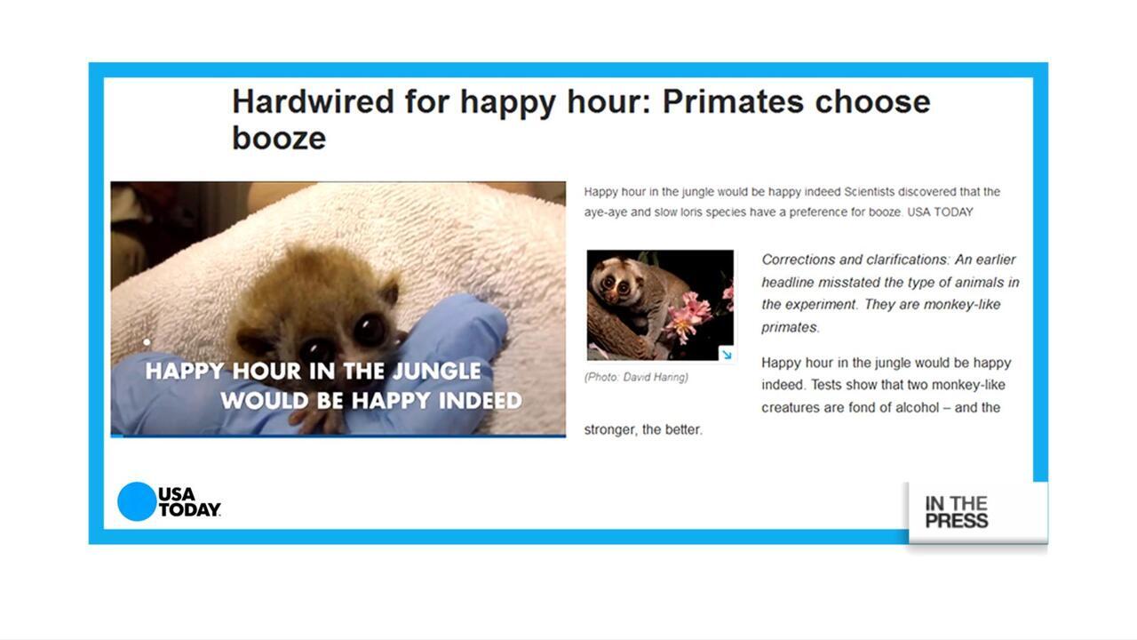 Can 'generic Republican' Mike Pence save the party? - Press Review