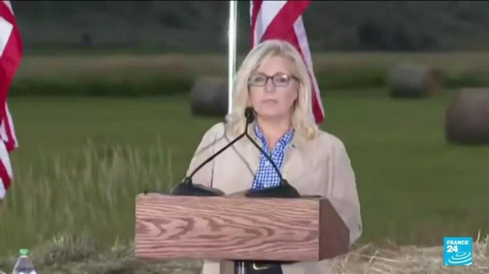 Cheney vows to do 'whatever it takes' to deny Trump second term - France 24