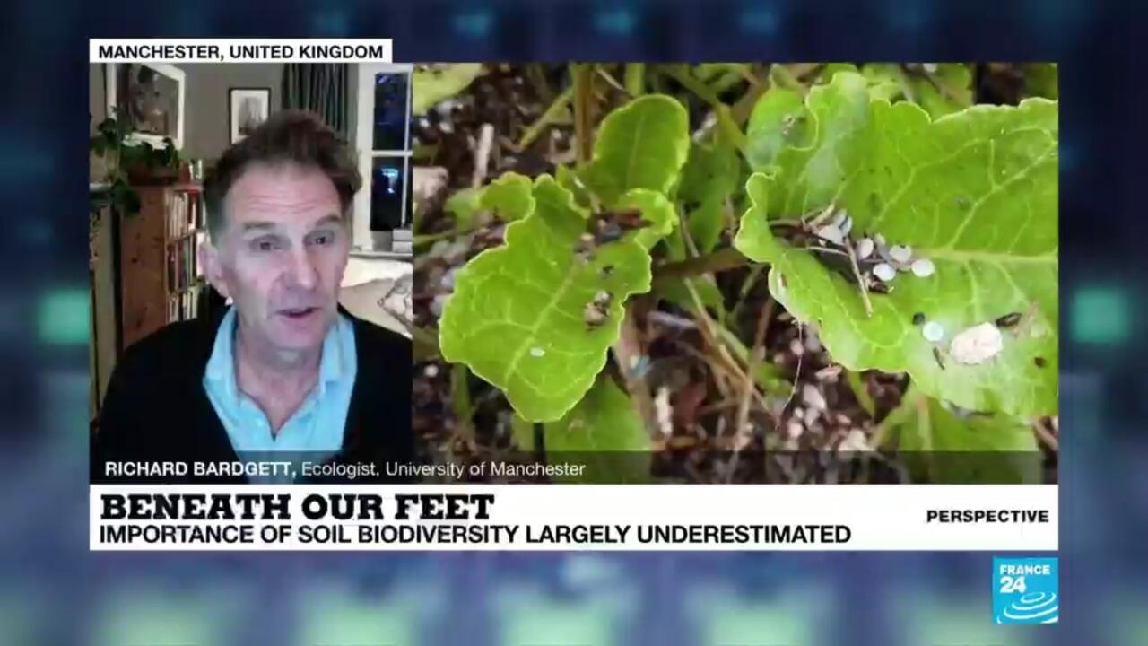 Beneath our feet: Why soil matters more than we realise - Perspective